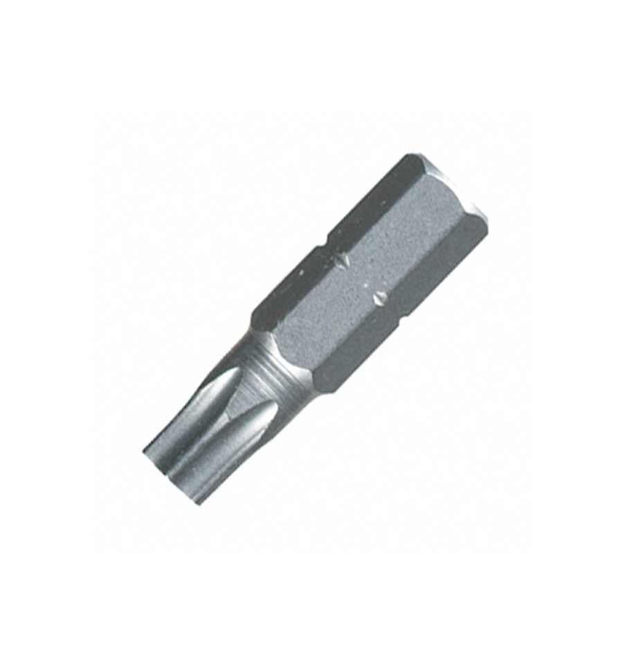 Torx TX30 Tool Bit with Hole
